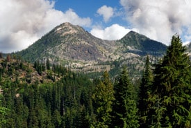 From the treetops: A closer look at Canada’s forests (part one ...