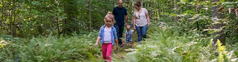 Backus Woods | Nature Conservancy of Canada